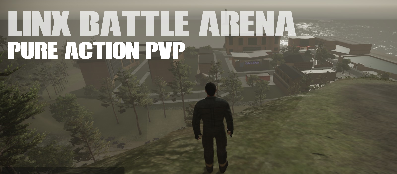 LINX BATTLE ARENA - Indie Game Launchpad